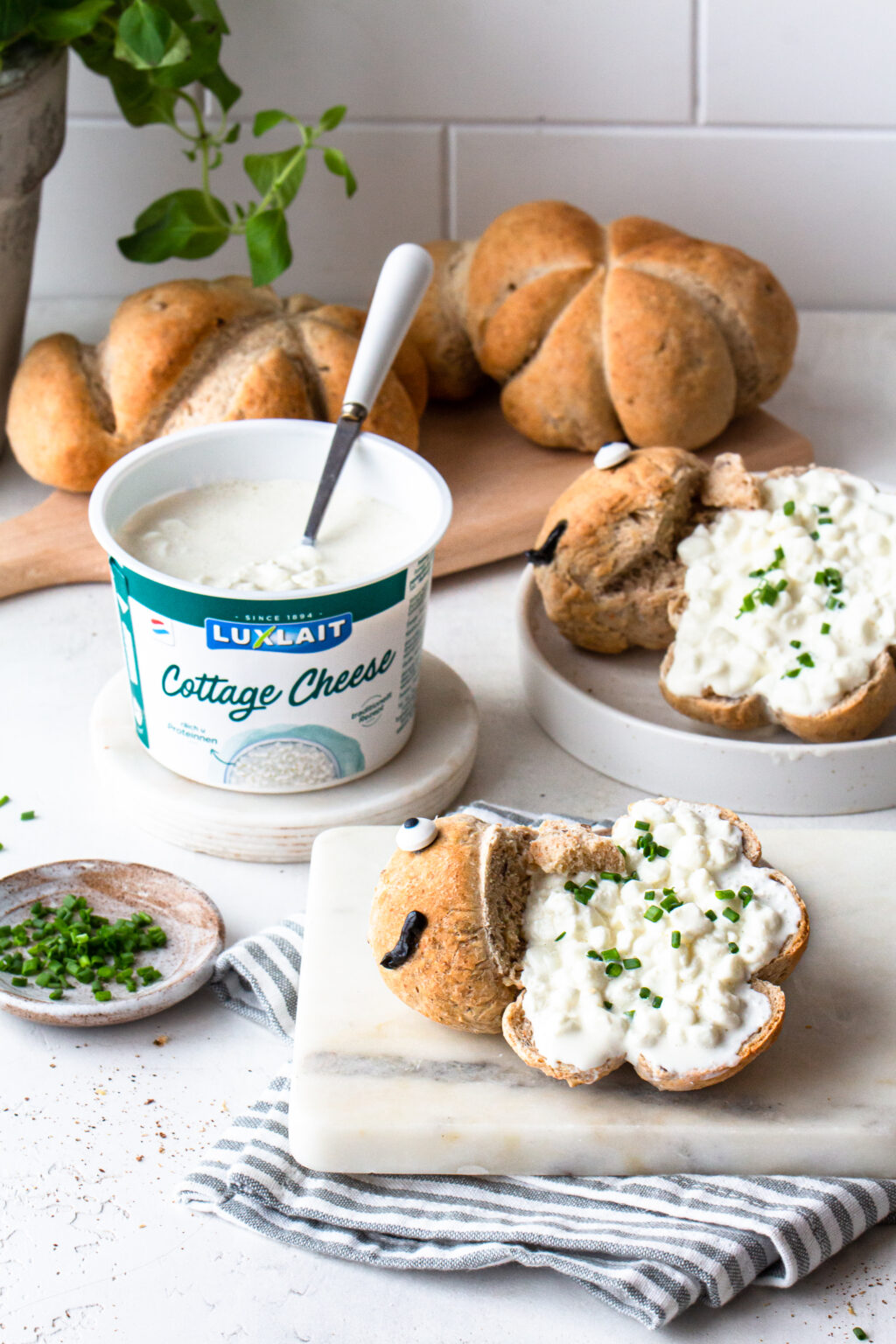 Sheep buns with cottage cheese - Luxlait